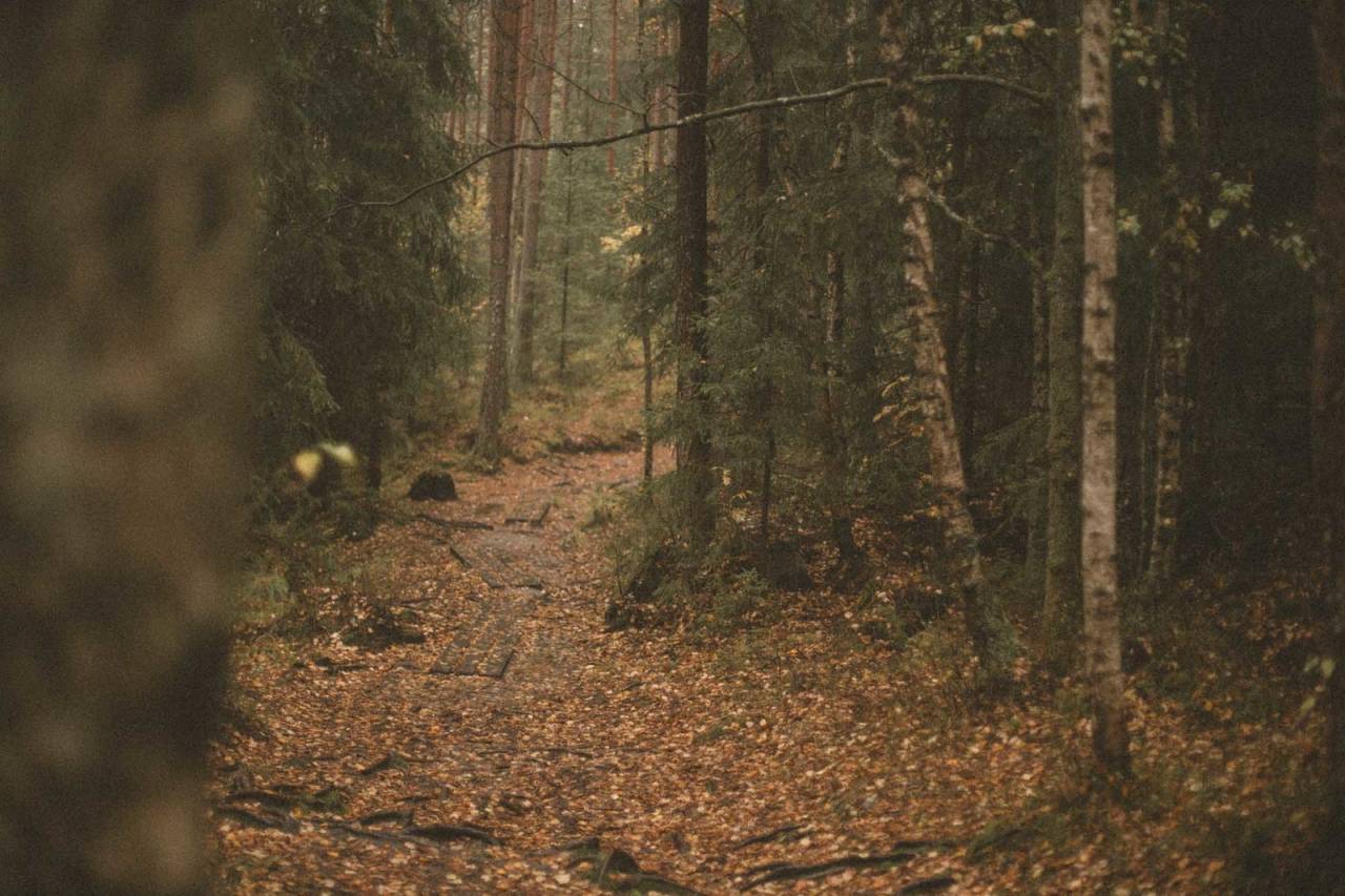 Slik forsket de på sti-slitasje | Stisykling | TERRENGSYKKEL.NO