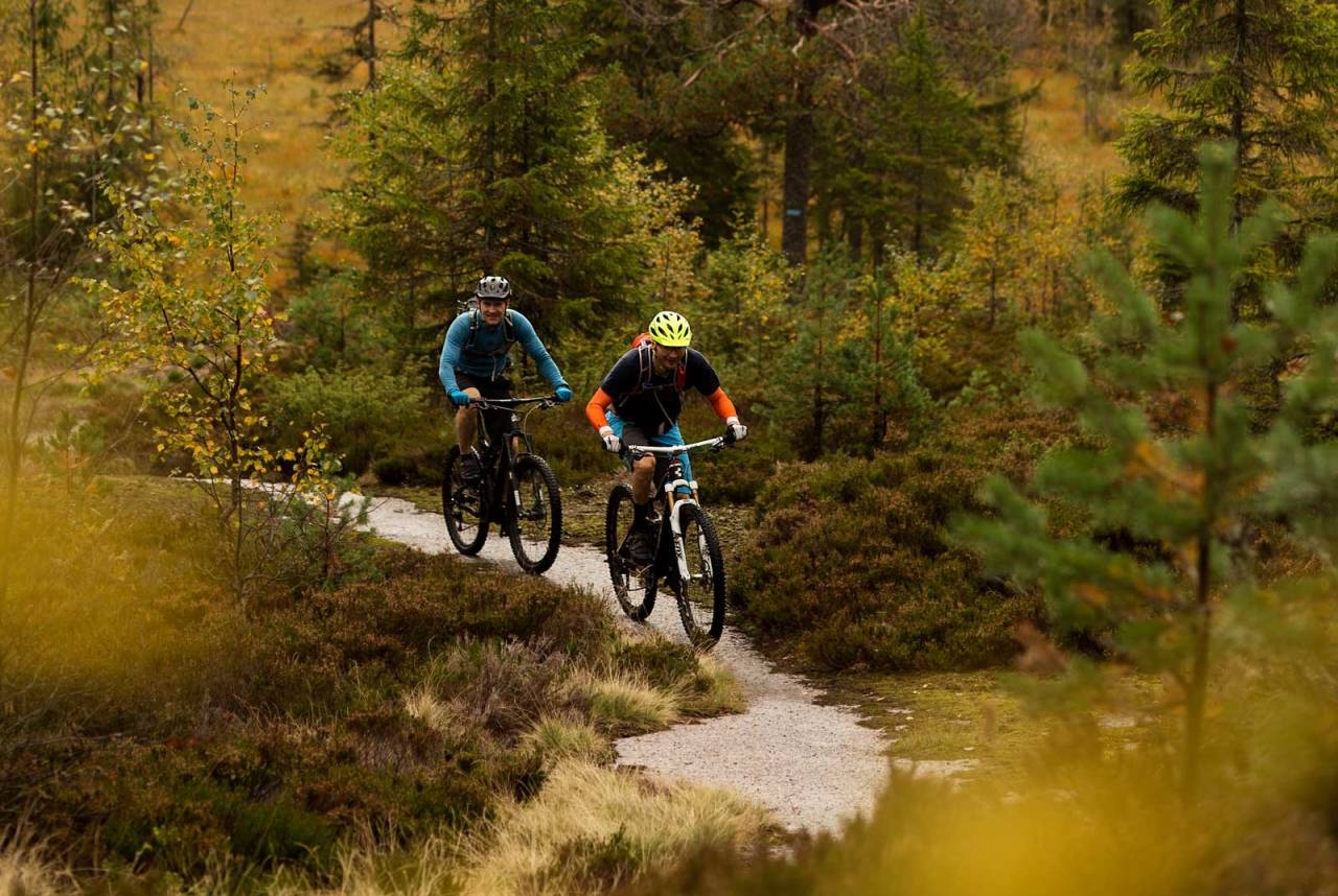Stiguide til Kikut | Sykling Oslo | Stisykling | TERRENGSYKKEL.NO