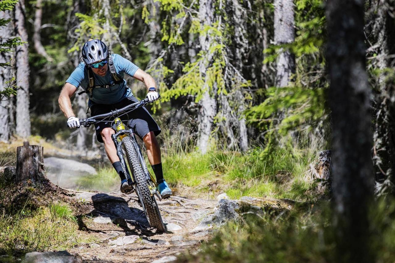 Her kan du sykle naturlig sti i Trysil | Sykling Trysil | Stisykling ...